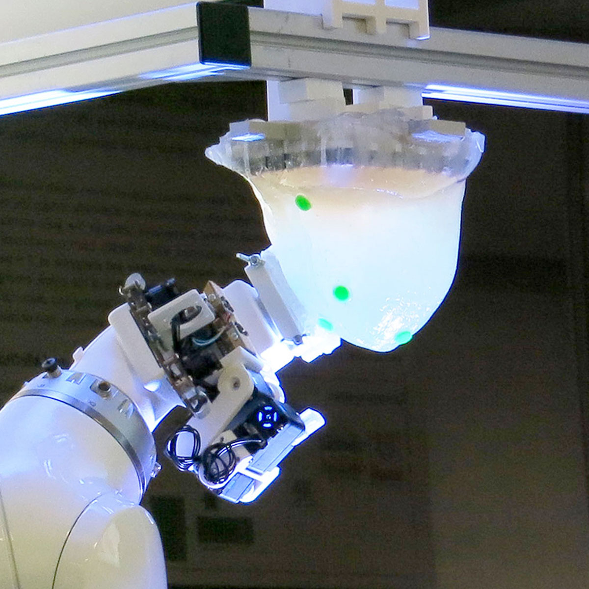 The importance of Phantoms · MURAB